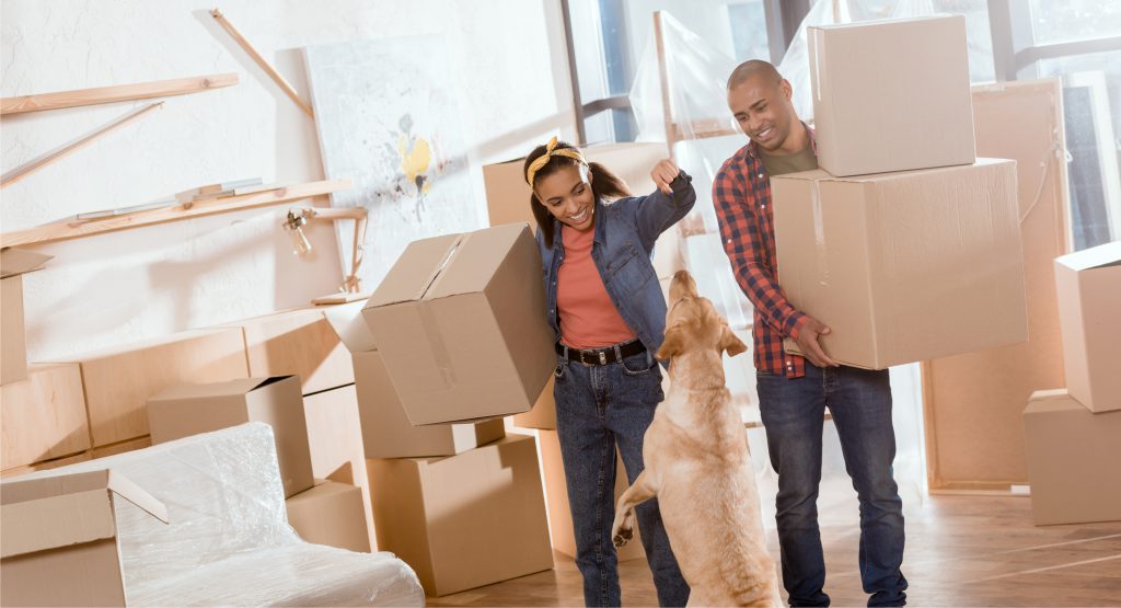 How to Move with Pets and Keep Them (and you!) Safe and Serene - Taffeta