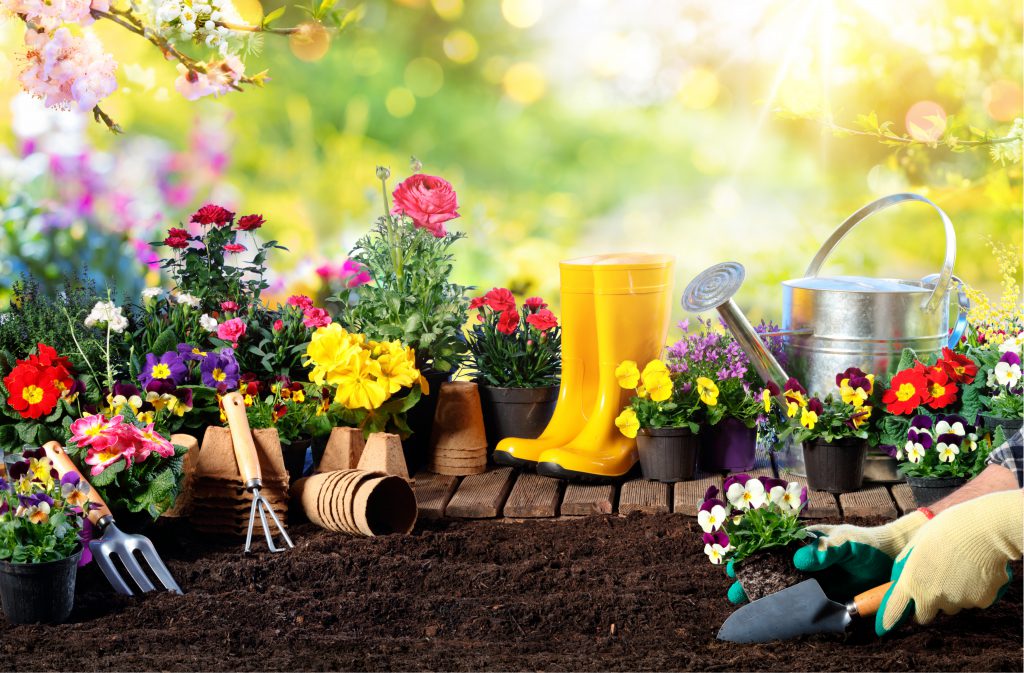 Why Building a Garden Could Be Your Key to Happiness This Year - Taffeta