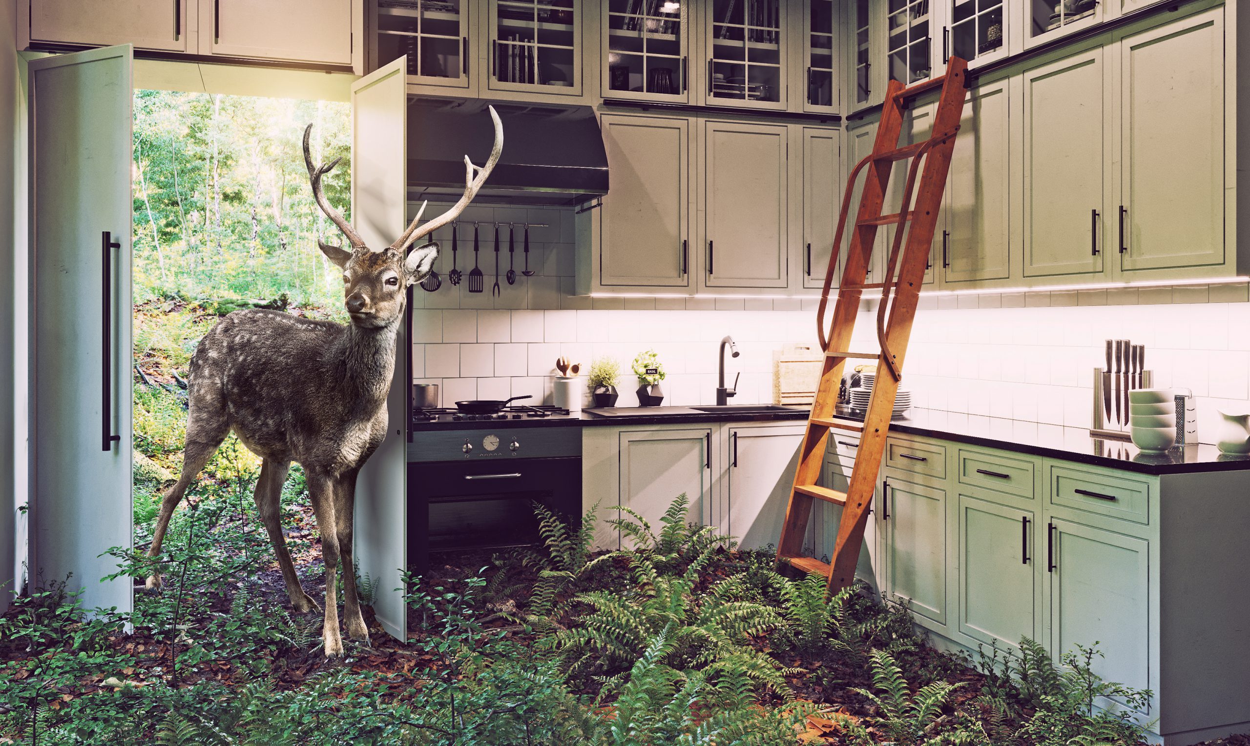 Tricks for a More Sustainable Kitchen - Taffeta